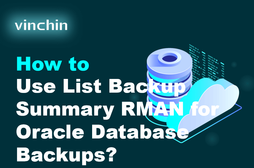How to Use List Backup Summary RMAN for Oracle Database Backups? | Vinchin Backup