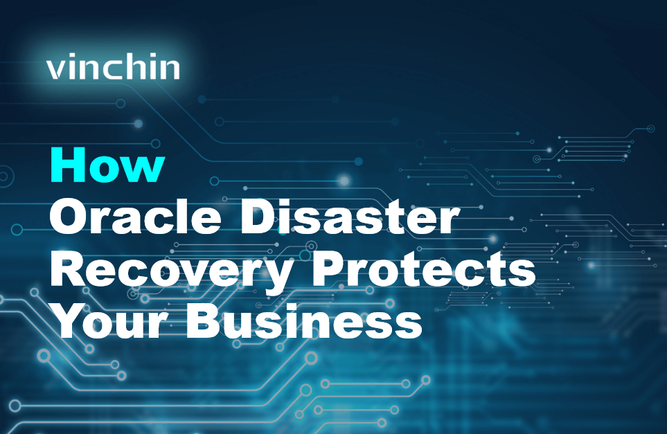 How Oracle Disaster Recovery Protects Your Business | Vinchin Backup