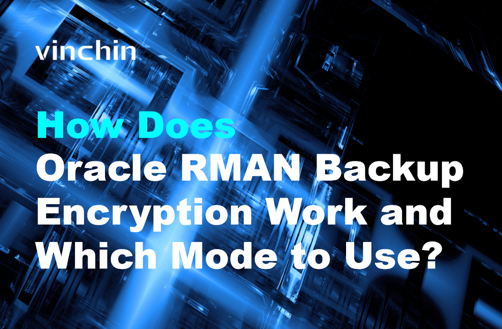 How Does Oracle RMAN Backup Encryption Work and Which Mode to Use? | Vinchin Backup