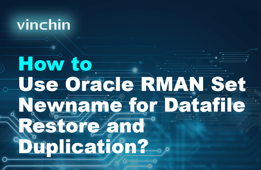 How to Use Oracle RMAN Set Newname for Datafile Restore and Duplication? | Vinchin Backup