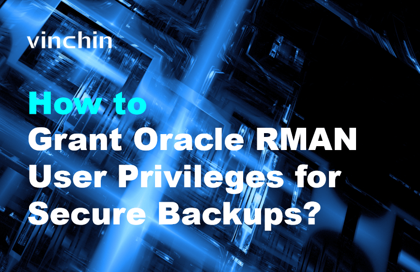 How to Grant Oracle RMAN User Privileges for Secure Backups? | Vinchin ...