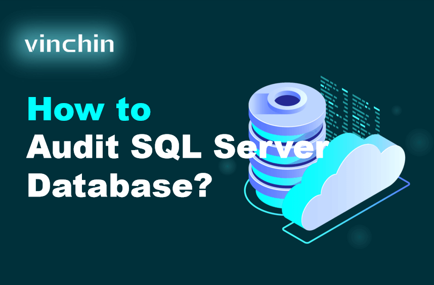 How to Audit SQL Server Database? | Vinchin Backup