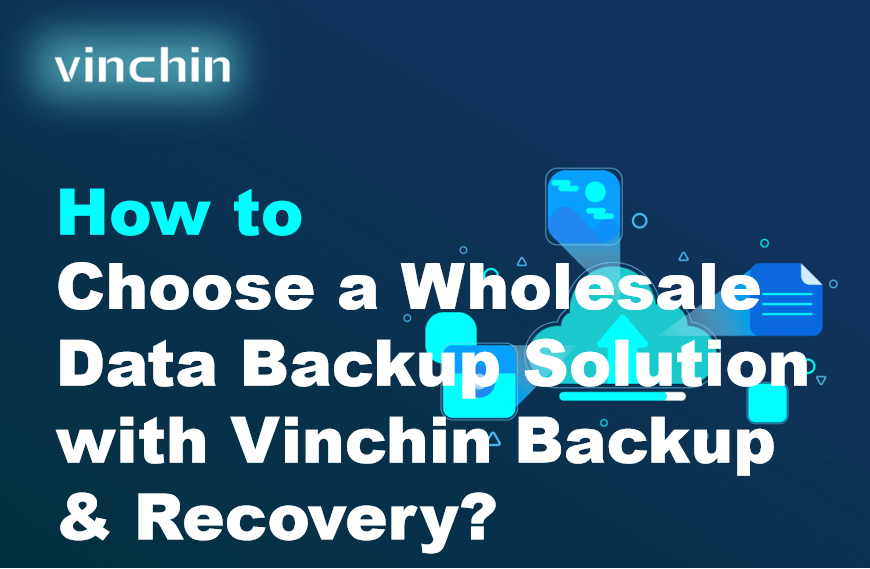 How to Choose a Wholesale Data Backup Solution with Vinchin Backup & Recovery? | Vinchin Backup